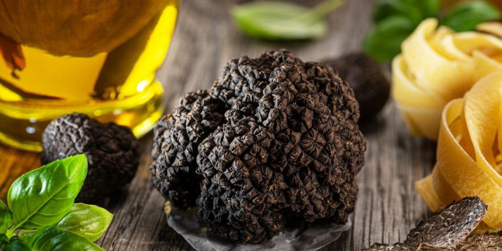 Fête de la Truffe à Sarlat, un évènement incontournable - Actualités ...