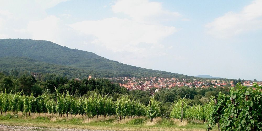 Camping in Wattwiller: between pure springs and the Vosges countryside ...