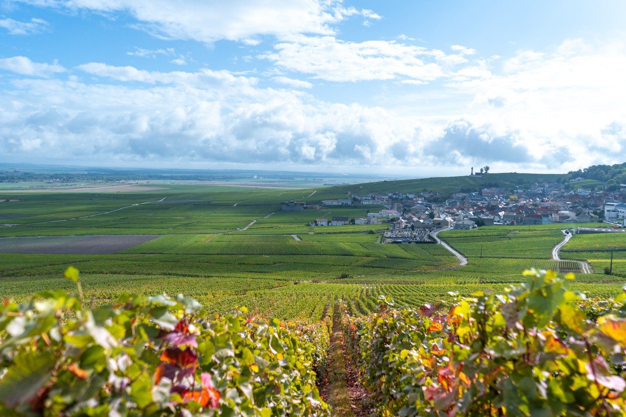 Camping in the Marne, a sparkling experience! - What to see in France ...