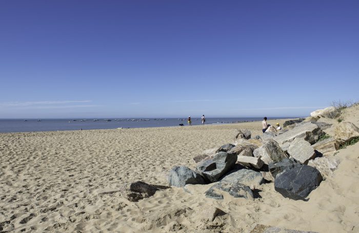 Camping LA GRIERE *** à La Tranche-sur-Mer Vendée - CampingFrance.com