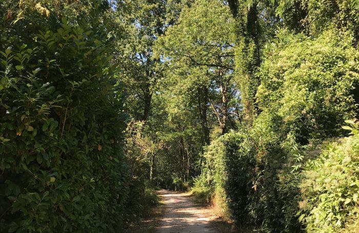 Camping HELIOMONDE CENTRE NATURISTE * à Saint-Chéron Essonne ...