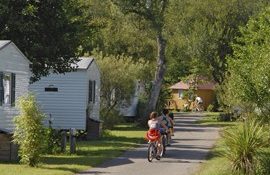 Camping LA PAILLOTTE **** à Azur Landes - CampingFrance.com